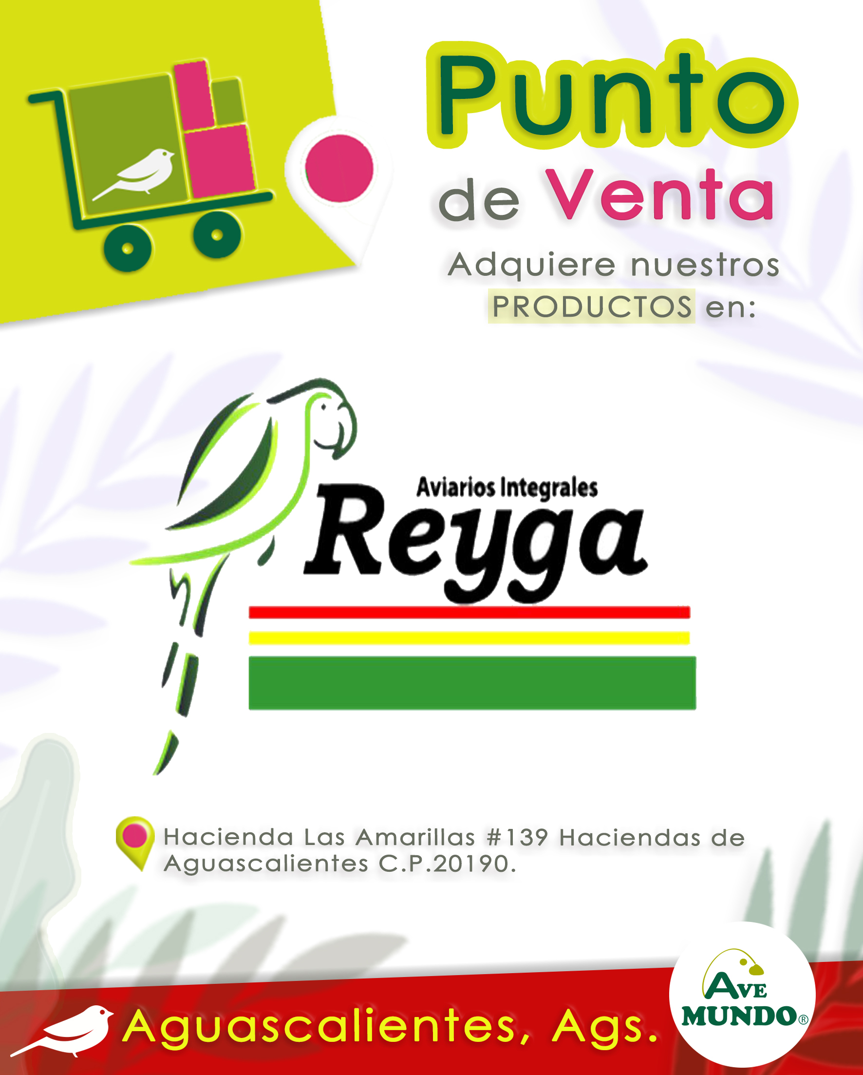 REYGA